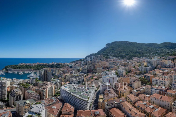Ad Sale Apartment Monaco Monte-Carlo (98000), 2 Rooms ref:V1036MC