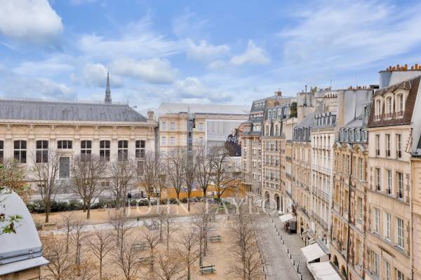 Luxury real estate agency Paris, FRANCE